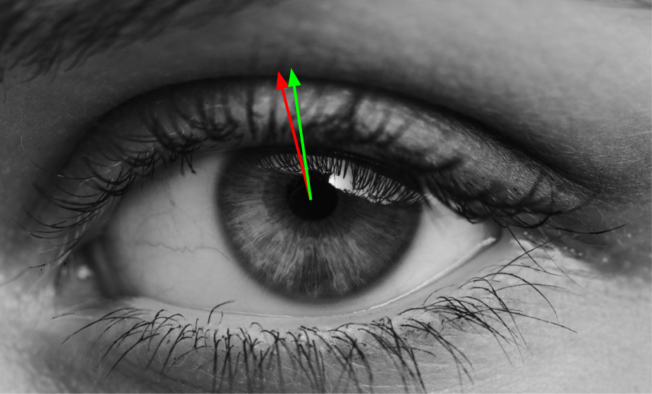 Eye Gaze Estimation | Constantin Stamatiadis